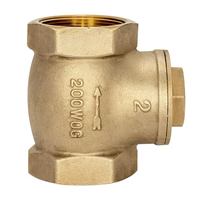 EZ-FLO 2-in Swing Check Valve – Saber Sales & Service