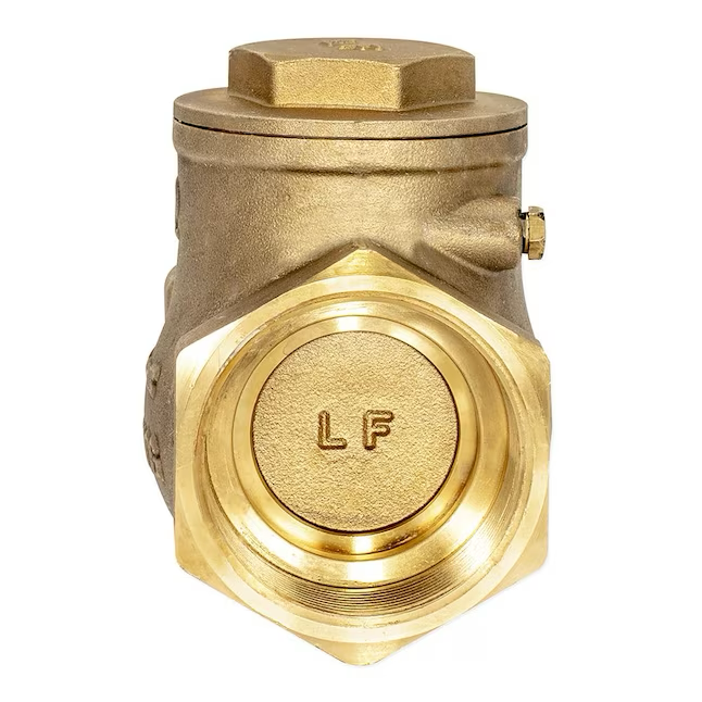 EZ-FLO 2-in Swing Check Valve – Saber Sales & Service