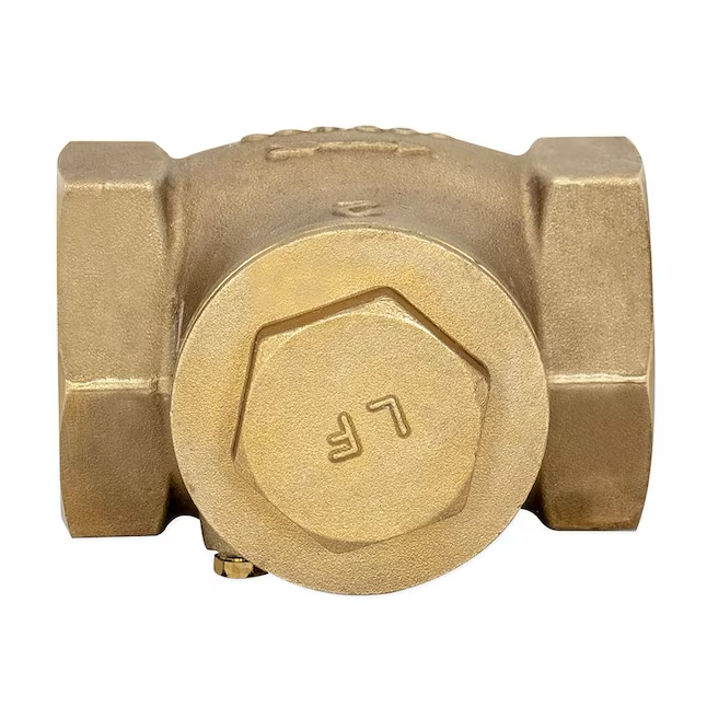 EZ-FLO 2-in Swing Check Valve – Saber Sales & Service