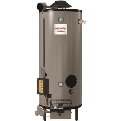 Rheem Commercial Universal Heavy Duty 75 Gal. 125K BTU Low NOx (LN) Na ...