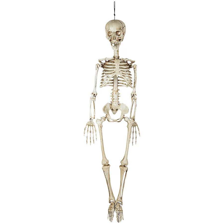 Haunted Living 3-ft Hanging Skeleton Decoration – Saber Sales