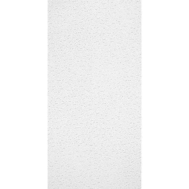 Armstrong Ceilings Textured Contractor 48-in x 24-in 10-Pack White Fis ...